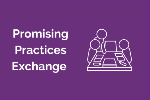 Bay Area Promising Practices Exchange: Promoting Equity and Inclusion in Outdoor Physical ...